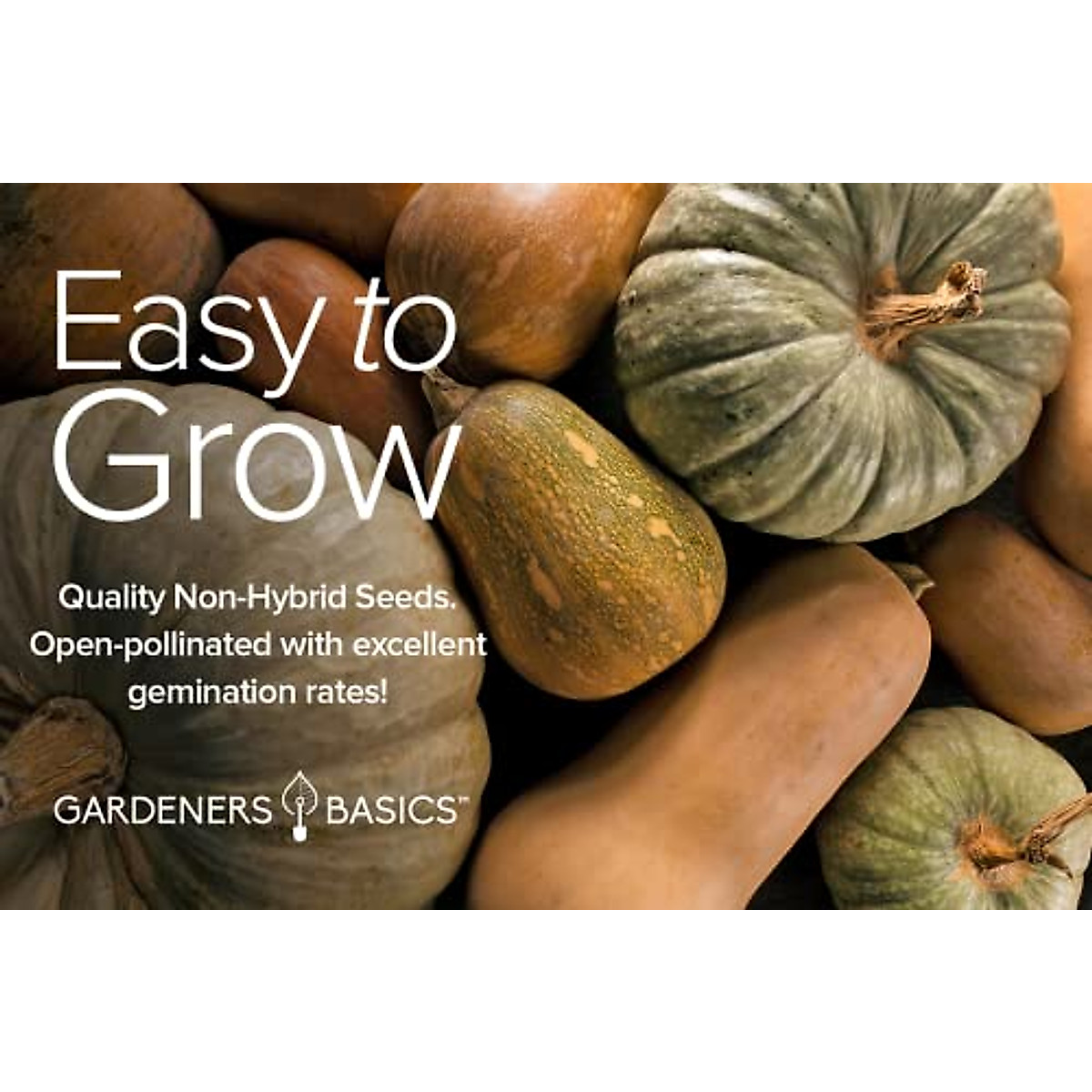 8 Squash Seeds for Planting Individual Packets - Zucchini, Delicata, Butternut, Spaghetti, Scallop, Caserta, Round and Hubbard for Your Non GMO Heirloom Vegetable Garden by Gardeners Basics