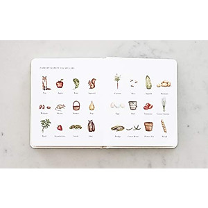 Our Little Adventures: Stories Featuring Foundational Language Concepts for Growing Minds (Our Little Adventures Series)