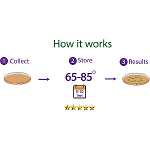 Malt Extract Agar Plates - Great for Mushrooms, Molds, Fungus - 5 Prepoured MEA Petri Dishes (5)