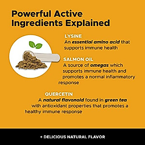 PetHonesty Immune Health Lysine - Supplement Powder for Cats - Immune Health, Cat Allergy Relief - Sneezing, Runny Nose, Watery Eyes - Cats & Kittens of All Ages - Omega 3s, L-Lysine - Chicken & Fish