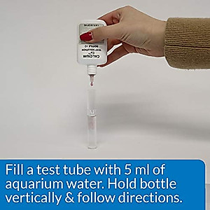 API CALCIUM TEST KIT Saltwater Aquarium Water 1-Count Test Kit, 69L (69L)
