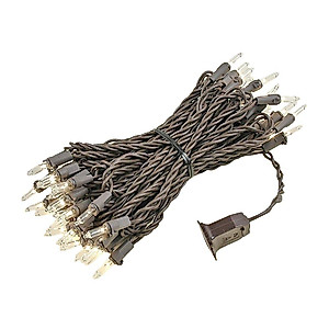 Novelty Lights 50 Light Clear Christmas Mini String Light Set, Brown Wire, Indoor/Outdoor UL Listed, 25' Long