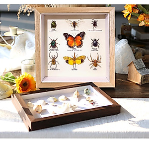 Dohomi 8x8 Shadow Box Frame Natural Wood Shadow Box Display Case 3 Pack Picture Frames Glass Surface Internal Depth 0.6 inch for Wall Or Tabletop