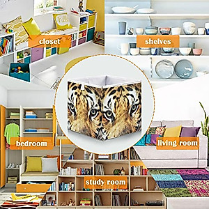 xigua Tiger Cube Storage Bin Large Collapsible Storage Basket Toys Clothes Organizer Box for Shelf Closet Bedroom Home Office, 11 x 11 x 11 Inch