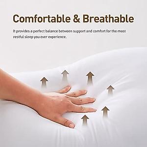 Acanva Bed Pillows for Sleeping 1 Pack with Luxury Hotel Quality, Super Plush 3D Fiber Filling, Top-end Microfiber Cover for Side Stomach Back Sleepers, King (Pack of 1), Black