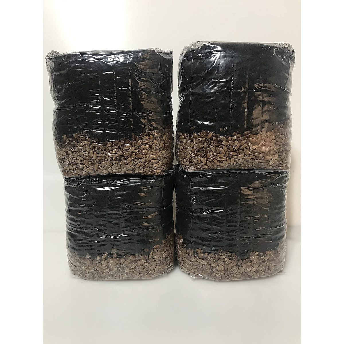 Mushroom Grow Kit - Magic All in One Mushroom Grow Bags - 4 Pack