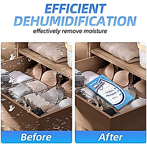 Wisesorb 25 Gram 10 Packs Moisture Absorbers, Dehumidifier Bags for Bathrooms, Basements, Rvs, Humidity Packets for Closet