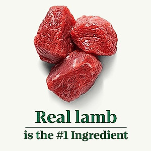 NUTRO NATURAL CHOICE Adult Dry Dog Food, Lamb & Brown Rice Recipe Dog Kibble, 30 lb. Bag