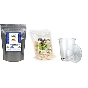 Josh's Frogs Melanogaster Fruit Fly Culturing Kit with Media, Vented Cups, and Excelsior (Small)