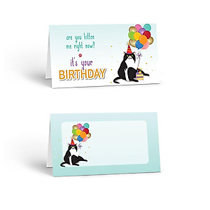 Stonehouse Collections | Happy Birthday Cat Table Tent Cards | Cat Lover Name Cards | Multi-Purpose, Table Decorations for Birthday Party | 25 Count (Tuxedo Cat Birthday)