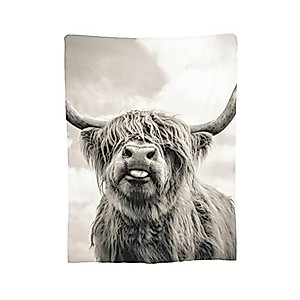 Billichase Highland Cow Blanket Portrait of Cow Pattern Flannel Fleece Throw Blanket Scotland Scottish Horns Bull Cattle Blankets for All Seasons for Couch Bed Sofa 50 X 40 Inches