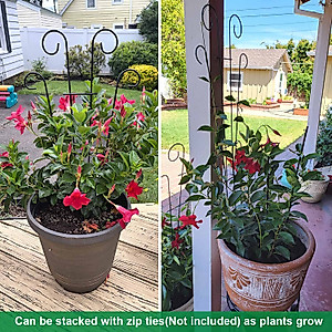 Mklsit 24'' Plant Trellis for Potted Plants, Indoor/Outdoor Garden Trellis for Climbing Plants, Sturdy Metal Pot Trellis for Houseplants Flowers Climbing Vines Ivy, Pack of 2, Black