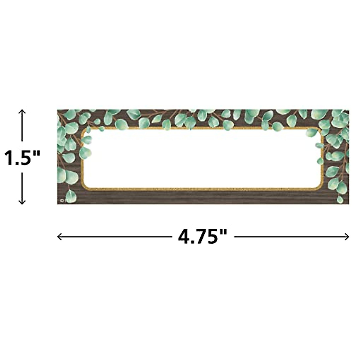 Teacher Created Resources Eucalyptus Labels Magnetic Accents, Pack of 20