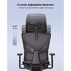 Ergonomic Mesh Office Chair - Home Office Desk Chair with Lumbar Support - Computer Chair Back Height Adjustable Black (Ergo Upgrade 518)