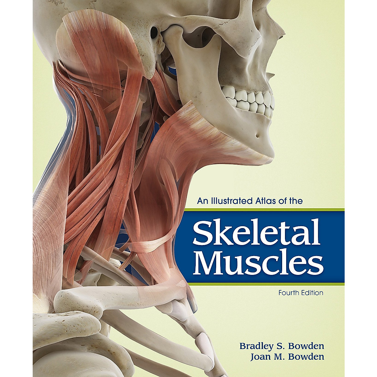 An Illustrated Atlas of the Skeletal Muscles