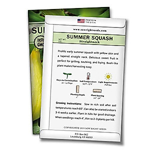 Sow Right Seeds - Straight Neck Yellow Summer Squash Seed for Planting - Non-GMO Heirloom Packet with Instructions to Plant a Home Vegetable Garden - Great Gardening Gift (4)