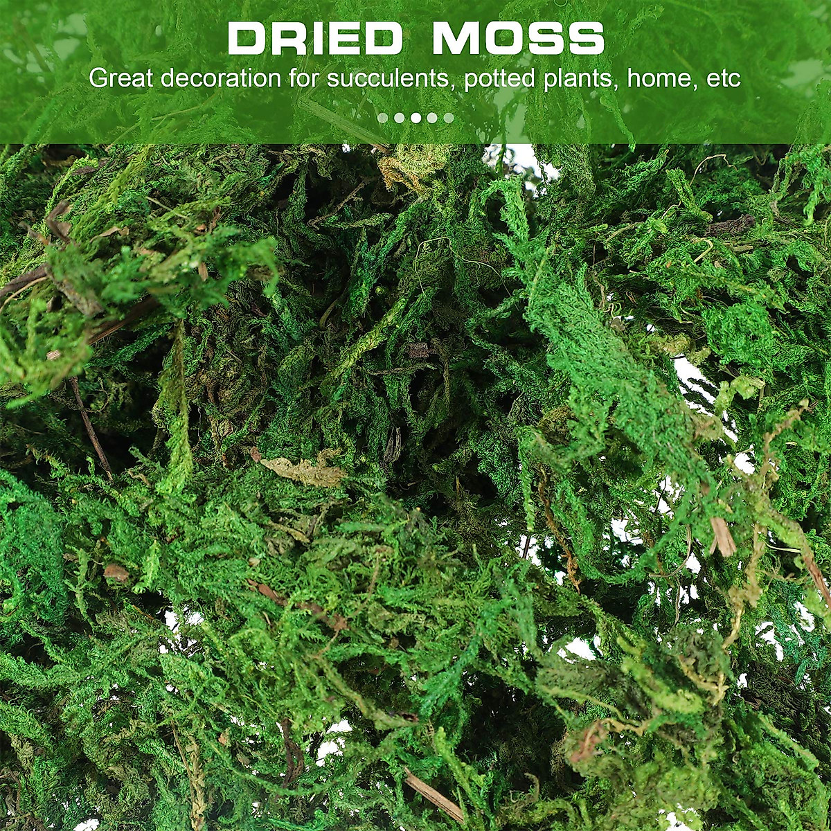 Veemoon 3 Packs of Artificial Moss Dried Moss Fake Lichen Plants for Home Fairy Garden Patio Decoration- Dark Green 60g/ Pack