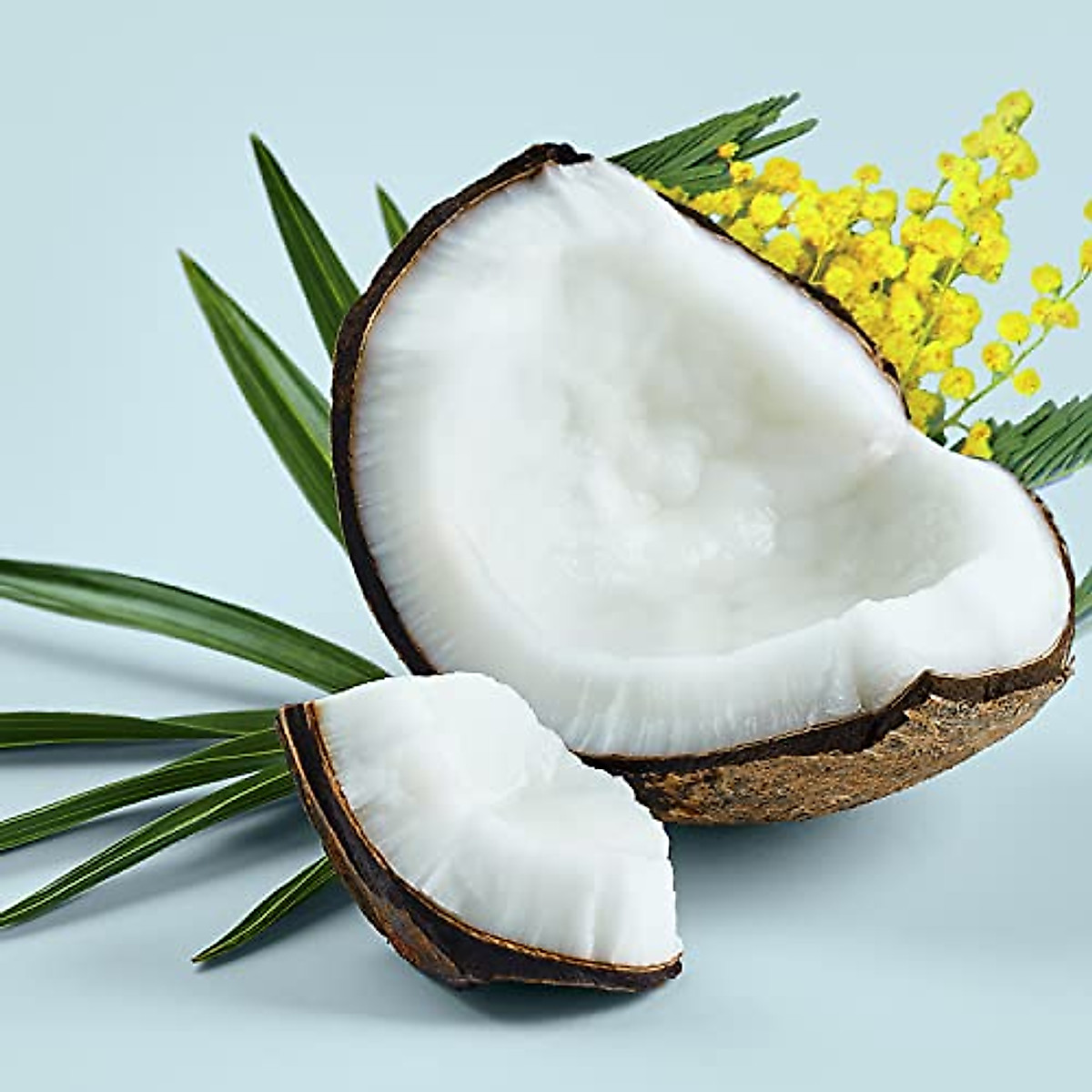 Love Beauty And Planet Sulfate Free Shampoo Volumizing Shampoo for Fine Hair Coconut Water and Mimosa Flower Refill Bottle for use with Reusable Aluminum Bottle 32.3 oz ( Packaging may vary )