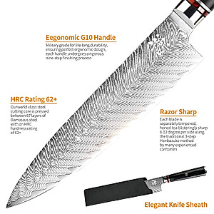Damascus Chef Knife Japanese Chefs Knife 8 Inch VG10 Kitchen Knife 67-Layer High Carbon Stainless Steel Knife Ergonomic Superb Edge Retention Gyuto Chefs Knives with Gift Box