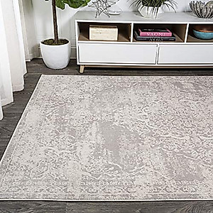Eyely PDM403C-8 Modern Rosalia Cottage Medallion Indoor Area Rug Bohemian;Traditional;Vintage, Bedroom, Kitchen, Living Room, Easy-Cleaning, Non-Shedding, 8 X 10, Gray/Ivory