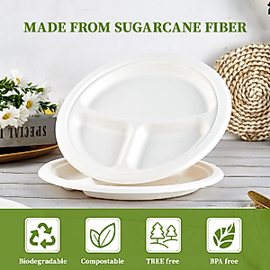 ECOLipak 150 Pack Compostable 3 Compartment Plates, Heavy-Duty Disposable Biodegradable Paper Plates, 8.85 inch Eco-Friendly Sugarcane Bagasse Divided Plates for Dinner