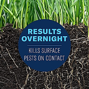 BioAdvanced 24 Hour Grub Killer Plus, Granules, 10 lb