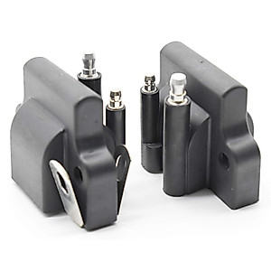 582508 18-5179 Ignition Coil Fits for Johnson Evinrude 6hp 15hp 70hp 85hp 88hp 90hp 115hp 120hp 125hp 1985-2001 Replaces 18-5179 0582508 183-2508 Pack 2