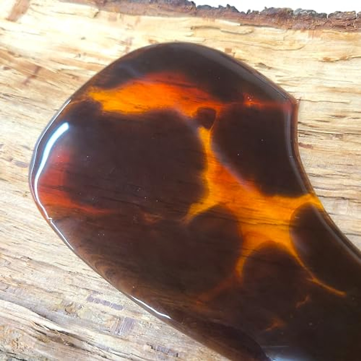 TORT Acoustic Guitar Pickguard Dreadnought D-45 & D-42 Style - Bevelled Edge Premium Quality, Authentic Style and Thickness, and Easy Installation (Hawks Bill)