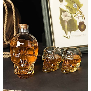 Glass Skull Decanter,750 ML Whiskey Skull Decanter Set with 2 Skull 3 oz Glasses for Halloween Themed Party, Personalized Drinking Cup for Cocktail Wine Vodka As a Skull Gifts