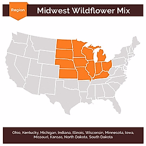 Midwest All Perennial Wildflower Seed Mix - 5 Pounds - Mixed Wildflower Seeds, Attracts Bees, Attracts Butterflies, Attracts Hummingbirds, Attracts Pollinators, Easy to Grow & Maintain, Cut Flower