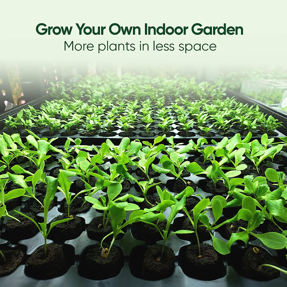 BioPlug Germination Rooter Cube 100 Pcs - Replacement Root Growth Sponges Kit Compatible with Aerogarden - Seed Starter Sponge Pods for Indoor Hydroponic Growing System