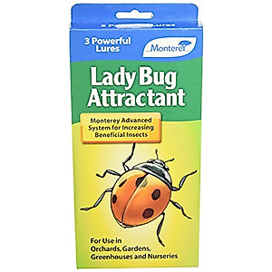 Monterey LG8510 Lady Bug Lure, Pack of 3