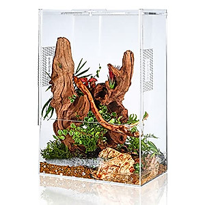 Reptile Terrarium Tank,Tarantula Enclosure 15’’x10’’x6’’ INKPET Acrylic Medium Feeding Tarantula Habitat Box for Hermit Crab,Leopard Gecko,Snake,Frog and Chameleon Cage(No Assembly Required)