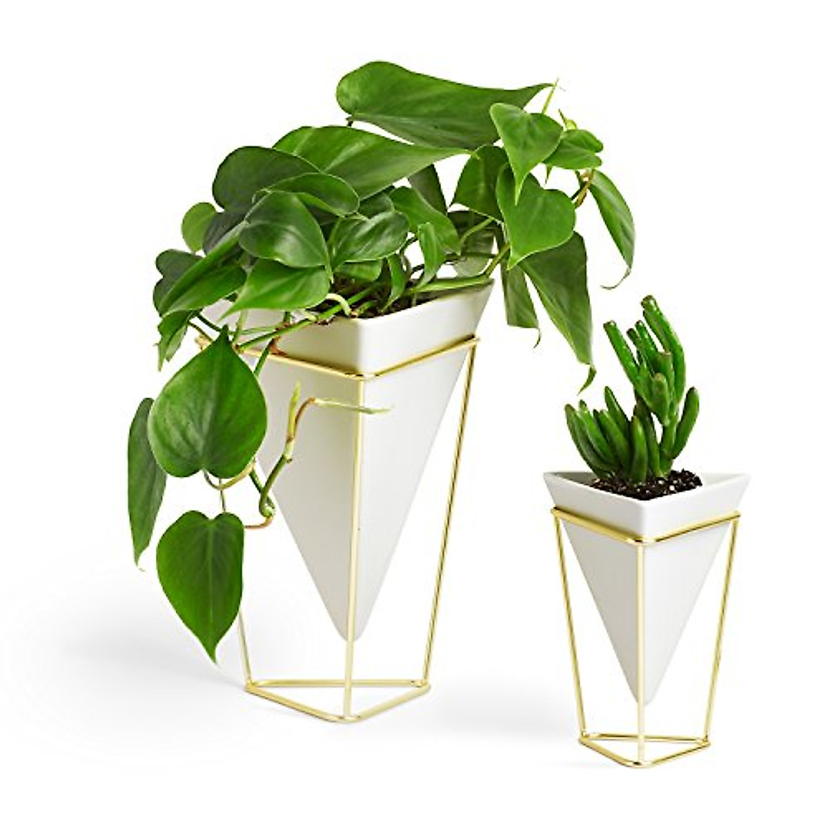 Umbra - 1004372-524 Trigg Desktop Planter Vase & Geometric Container-for Succulent, Air, Mini Cactus, Faux Plants and More, Desk, White/Brass