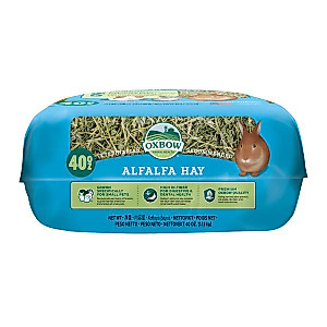 Oxbow Animal Health Alfalfa Hay - All Natural Hay for Young, Pregnant, or Nursing Small Pets - 40 oz.