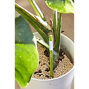 Sustee Aquameter (2 Green, Medium) - Plant Soil Moisture Meter, Monitor, Probe, Indicator - Best for Potted Plants - Package of 2 Sensors