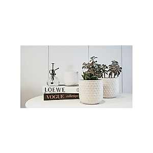Docrin Ceramic Plant Pots Indoor: 6.5+5.3+4 Inch Planters with Drainage Holes for Home/Office - Set of 3 / White Honeycomb