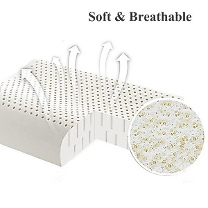 Latex Pillows for Sleeping, 17X10X2.3 inch Latex Pillow with Pillowcase, Latex Pillows Organic Cotton Cover, Soft, Breathable Bed Pillow, Washable Zippered Soft Cover (Blue)