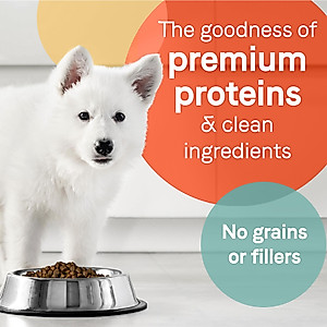 Canidae Pure Grain Free Dry Puppy Food, Real Salmon & Sweet Potato, 4 lbs.