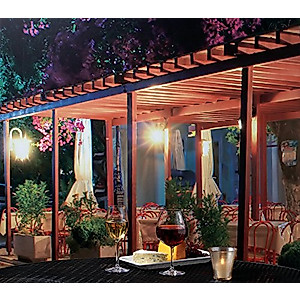 Carlisle FoodService Products Alibi Wine Glass Clear Glass for Restaurants, Catering, Kitchens, Plastic, 20 Ounces, Clear