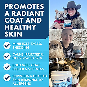 WuffWell - Omega 3 for Dogs with Salmon Oil 140ct - Dog Skin and Coat Supplement - Allergy and Itch Relief - Fish Oil for Dogs Chews - Dog Anti Shedding Supplement - Dry Skin Treatment - Made in USA