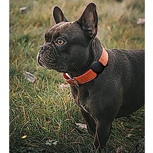 Airtag Dog Collar Holder(2 Pack) for Apple Airtag Dog Tracker Holder Anti-Lost Silicone Air Tag Holder Case Compatible with Cat Dog Collars (2xBlack)