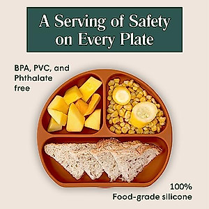 Simka Rose Baby Suction Plates for Baby & Toddler Plates Silicone Plate Baby Baby Dishes- BPA Free Silicone Divided Design Microwave & Dishwasher Safe - Baby Led Weaning Supplies Utensils (Pack of 1)