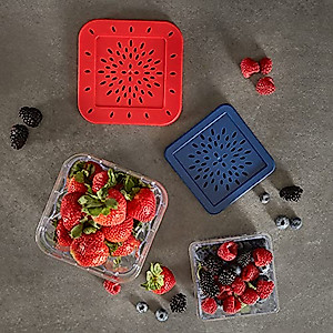 RSVP International Reusable Food Storage Collection Berry Keeper Set, Red 5.125x4.125, Blue 4.25x2.125