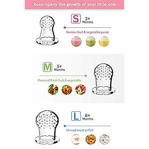 Food Feeder Baby Fresh Fruit Feeder (2 Pack) with 3 Different Sized Silicone Pacifiers, Mash and Serve Bowl with 4 Soft-Tip Silicone Baby Spoons, Perfect Baby First Stage Feeding Set by MICHEF