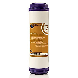 Stage 2 Granular Activated Carbon Filter for under-sink RO filtration drinking water system - 10 inch, 2.5" OD X 9-7/8" L (GAC-1025)