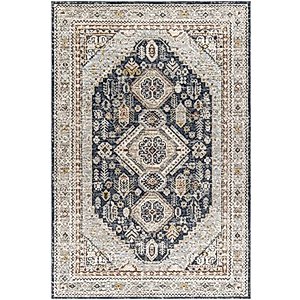 BoutiqueRugs Kouta Traditional Area Rug - Natural Gray - 9' x 12'2"