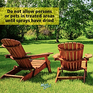 CENTRAL GARDEN BRANDS Lilly Miller Moss Out for Lawns Ready to Spray 32oz, 1-(Pack)