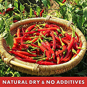 Yimi Dried Chiles Peppers, 5.3oz Red Hot Chili, Spicy Hot Heat, Great For Mexican,Thai and Chinese Recipes,like Pozole, Tamales, Hotpot, In Resealable Bags, Super Hot, Ideal Gift for Halloween