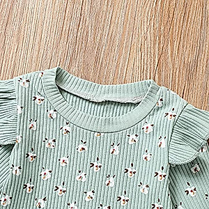 Kids Baby Girl Floral Clothes Set Ruffle Long Sleeve Pullover Tops + Bowknot Pants 2PCS Girls Outfits (Green, 2-3T)